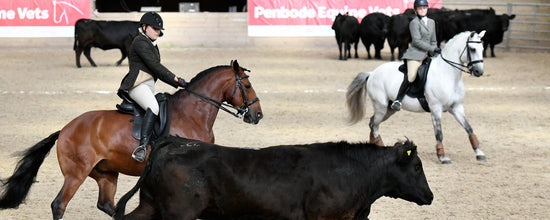 The Association for British Working Equitation