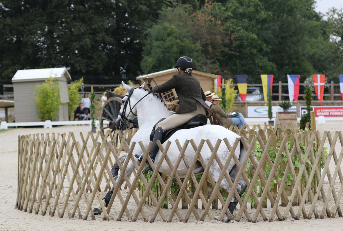 The Association for British Working Equitation