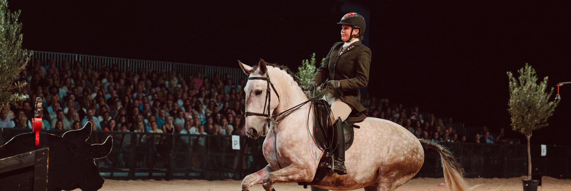 The Association for British Working Equitation